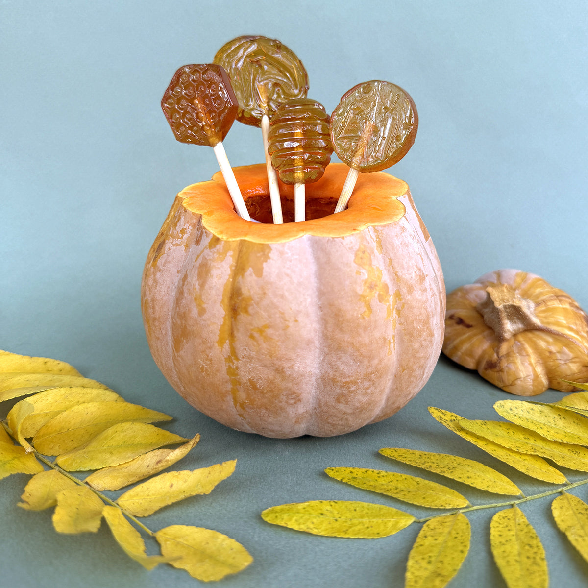 Honey Lollipop - Ginger – Björn's Colorado Honey